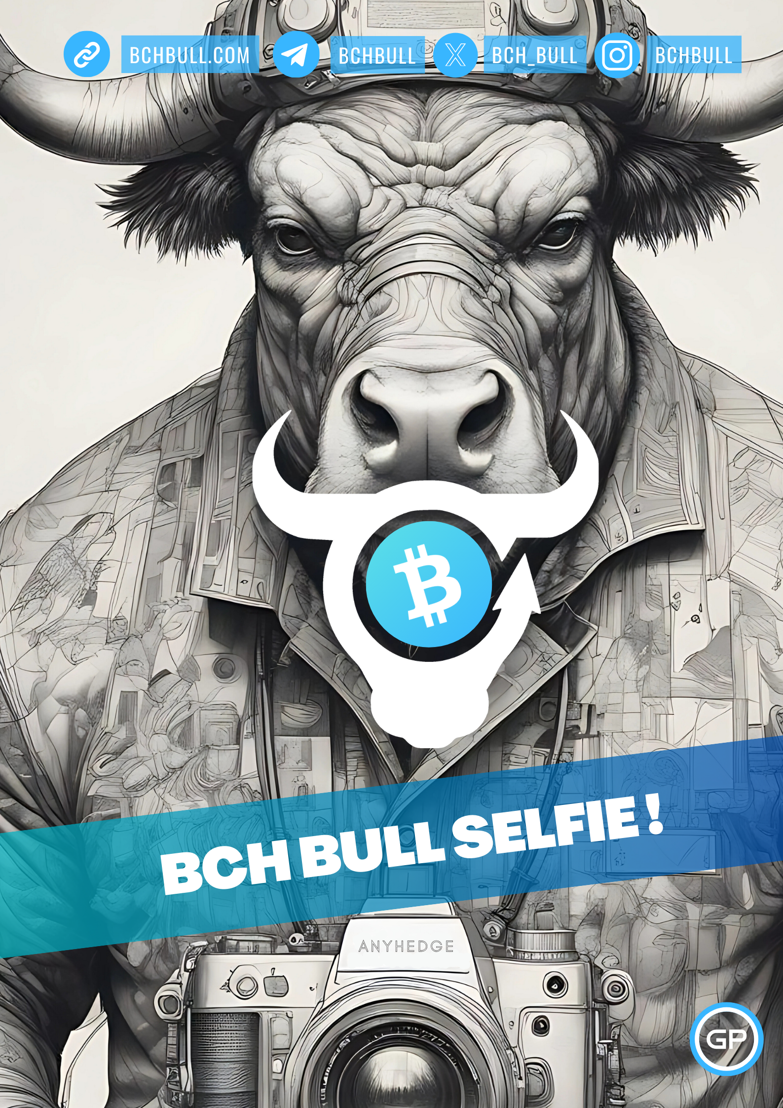 BCH Bull Posters