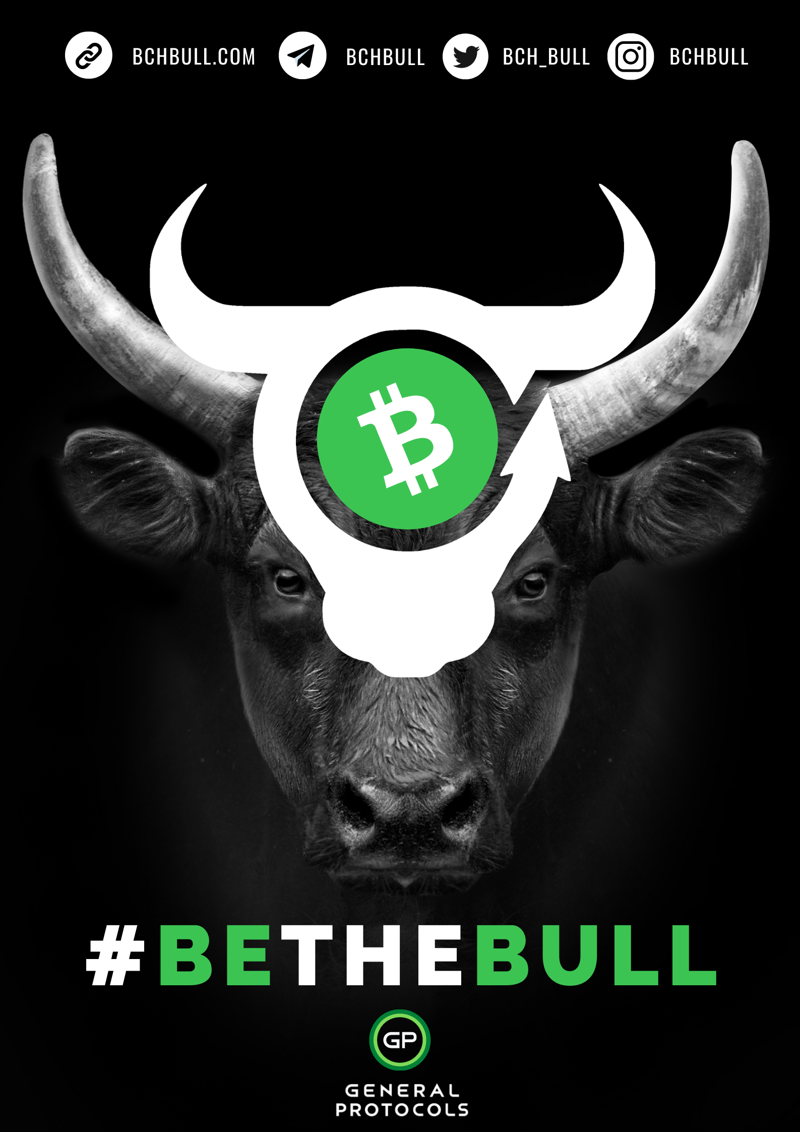 BCH Bull Posters